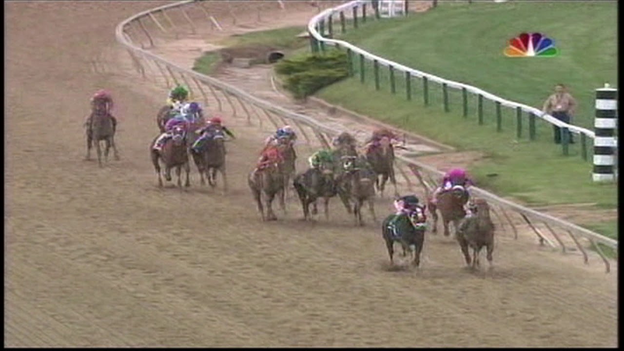 Afleet Alex 2005 Preakness - YouTube