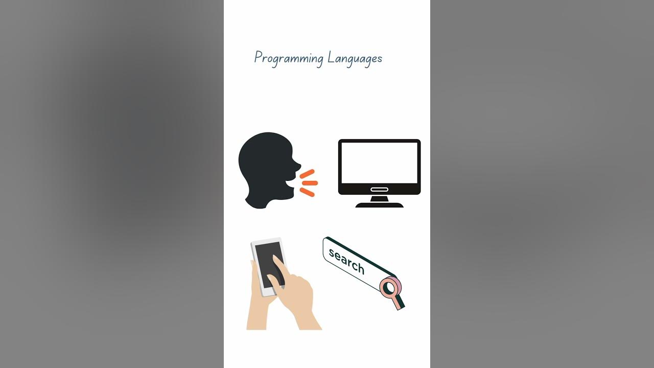 What Is Programming Languages Programming Programminglanguages Python C Java Javascript