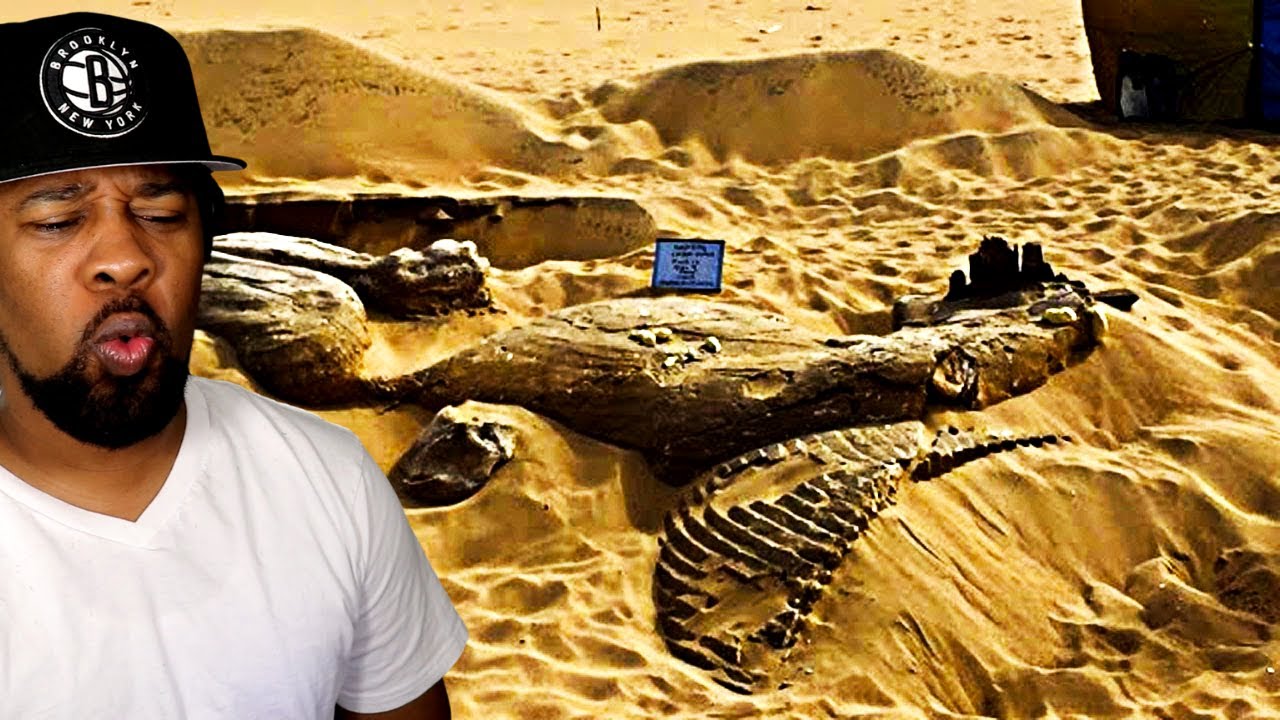 Archaeologists Uncovered ancient Tomb artifacts What They Discovered ...