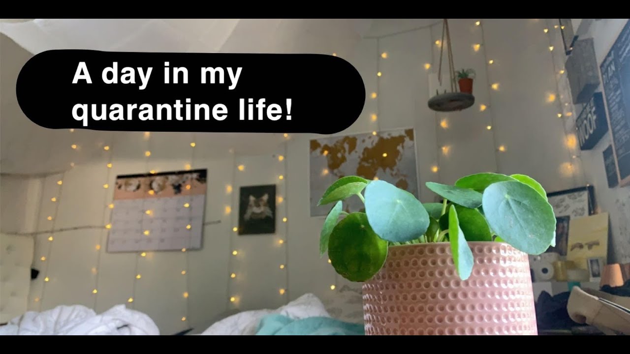 A Day In My Quarantine Life - 04.19.20 - YouTube