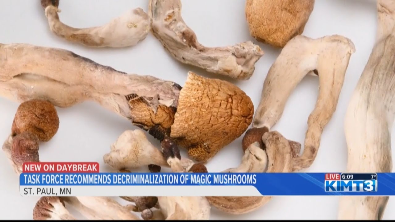 Task force recommends decriminalization of magic mushrooms - YouTube