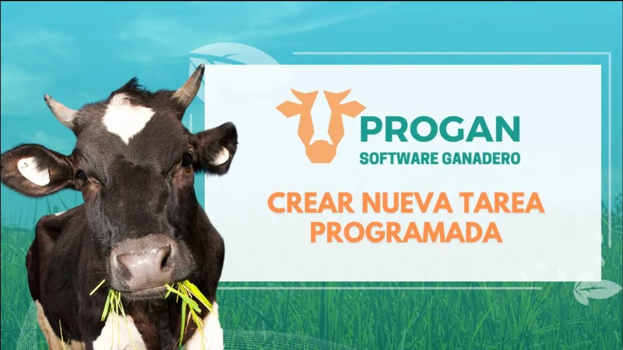 Crear Nueva Tarea Programada | Progan Software - YouTube