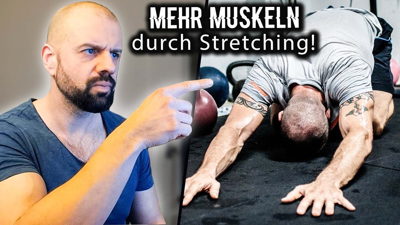 Mehr Muskelwachstum Durch Richtiges Dehnen Wissenschaftlich Belegt Dr Malte Puchert Youtube