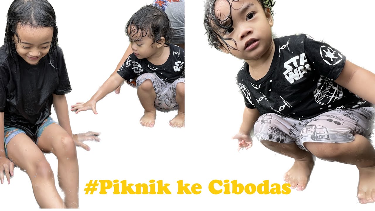 Wisata ke Kebun Raya Cibodas Puncak | Piknik bersama #cibodas # ...