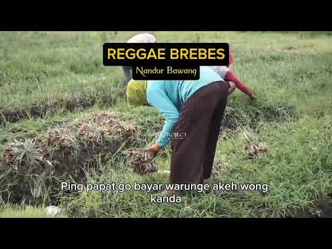 Reggae Brebes Ngapak - Nandur Bawang