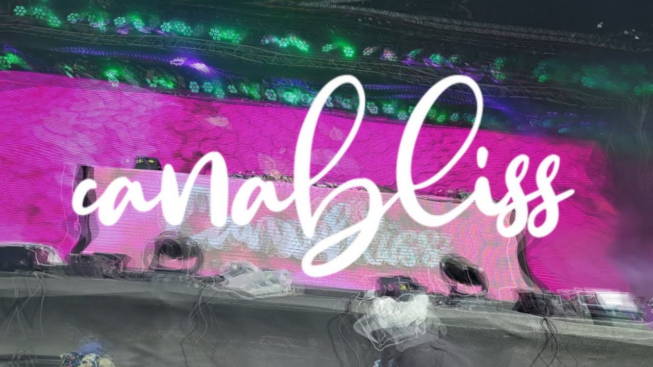 Canabliss @ Electric Forest 2024 [4k] - YouTube