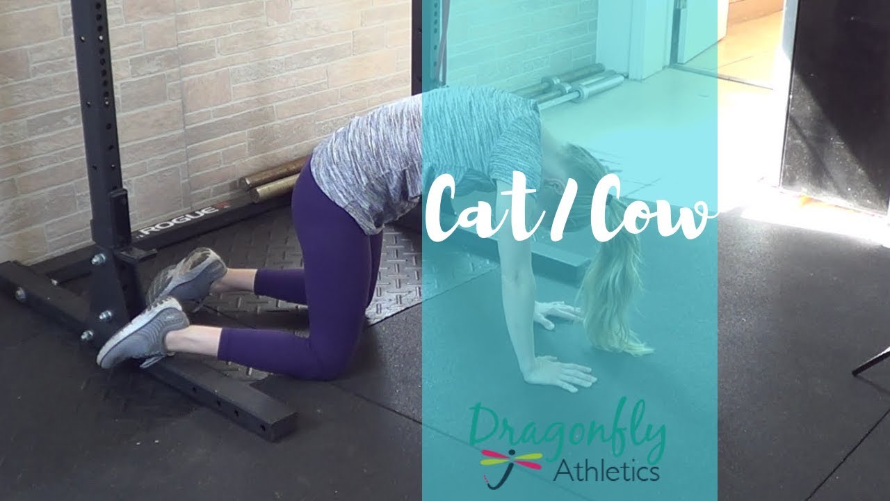 How to Perform the Cat/Cow - YouTube