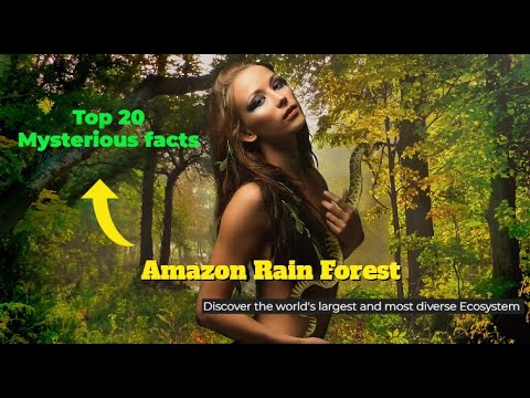Amazon Rainforest| Secrets of the Amazon Rainforest Unveiling the ...