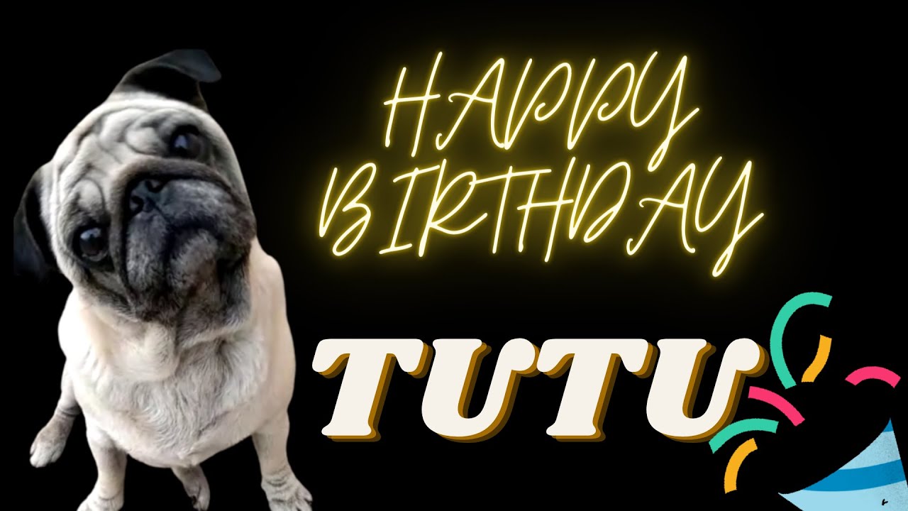 Happy Birthday TUTU!!! 4 year celebration | ft. Vodafone pug ad - YouTube
