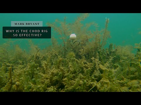 WHY is the Chod Rig so EFFECTIVE?