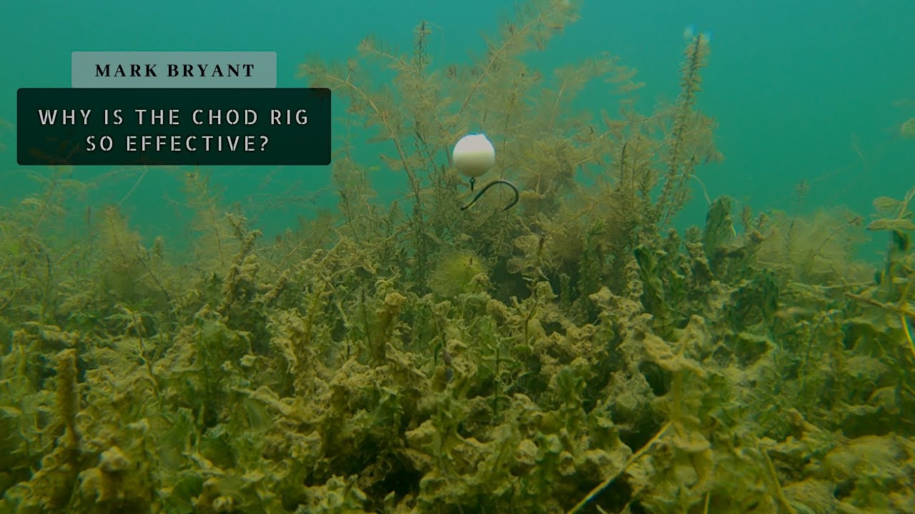 WHY is the Chod Rig so EFFECTIVE? - YouTube