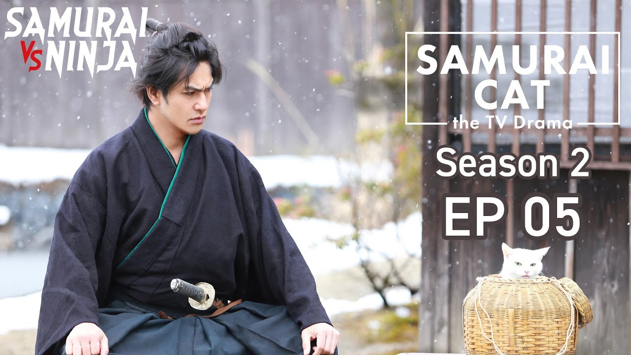 Samurai Cat Season 2 Full Episode 5 | SAMURAI VS NINJA | English Sub ...