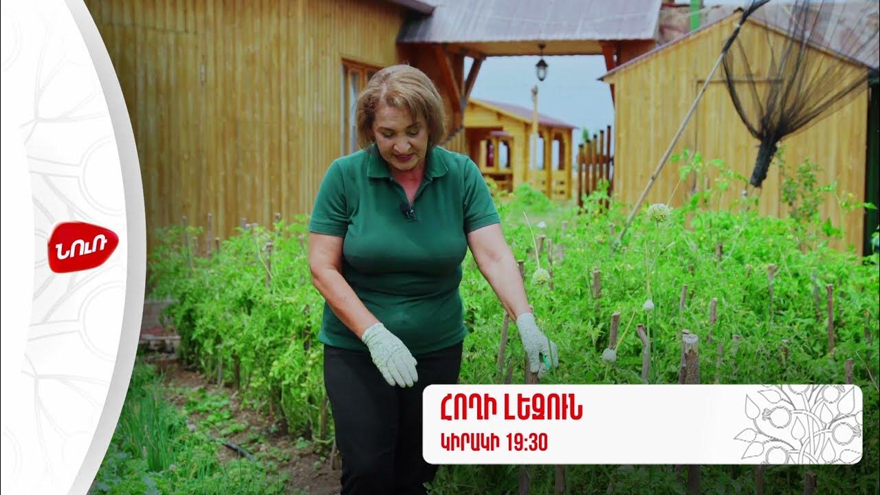 Հողի լեզուն N23 - Անոնս | Hoghi lezun - YouTube