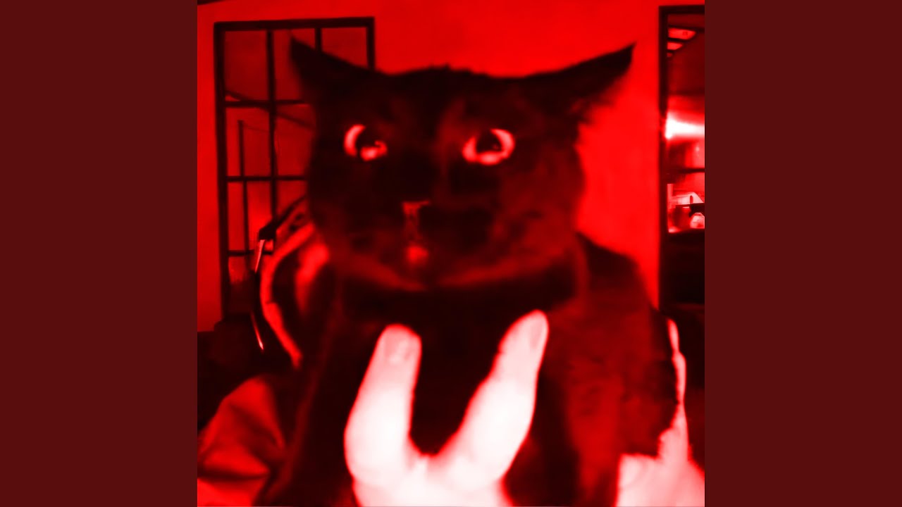 CASEOH KITTY (Sped Up) - YouTube