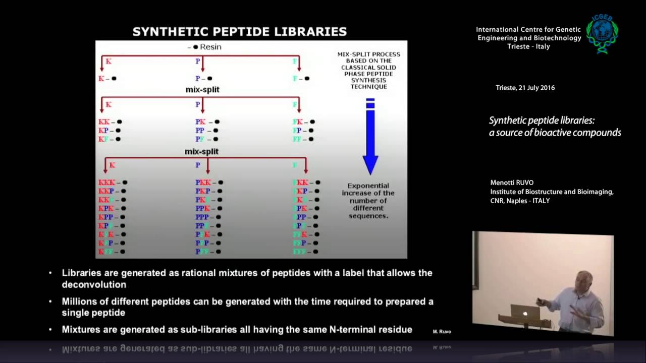 M. Ruvo - Synthetic peptide libraries: a source of bioactive compounds ...