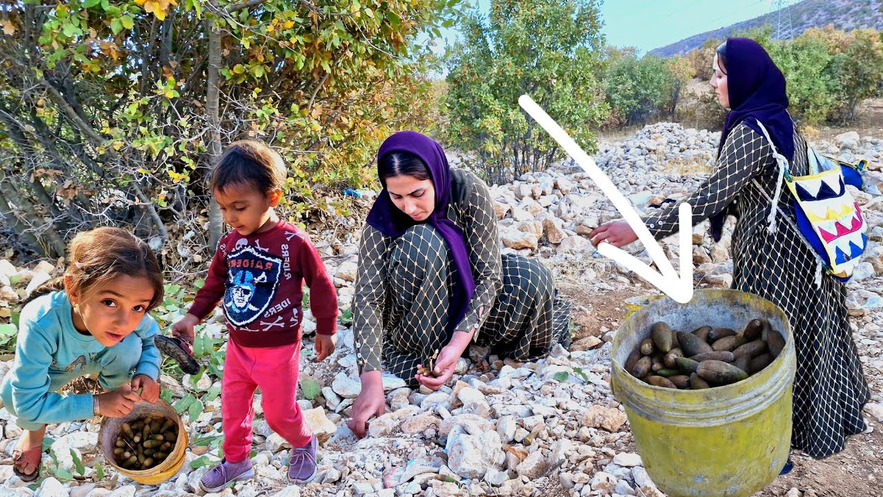 **"Oak trees, signs of hope: the story of Fatima "Love"⚘️ - YouTube