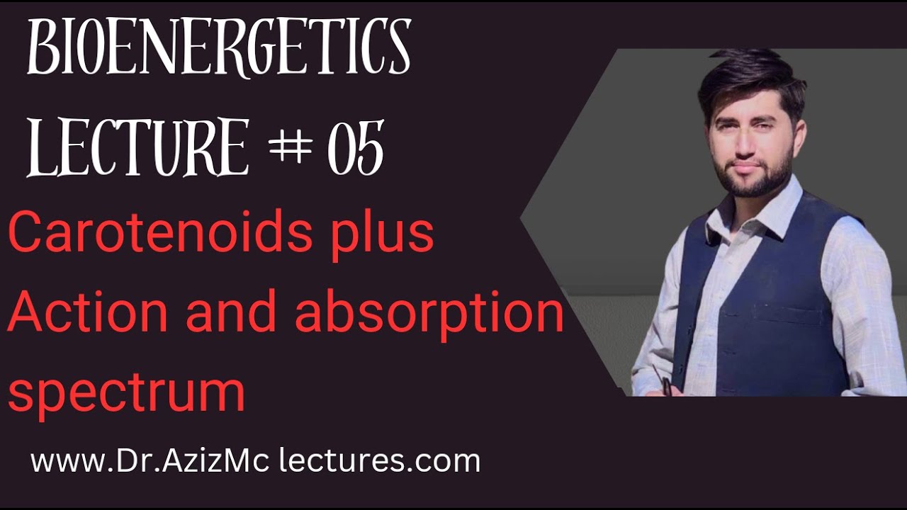 action and absorption spectrum of photosynthesis - YouTube