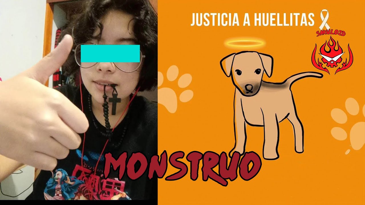 LA NUEVA PELUCHIN 2 VANESSA EVIL Y EL CASO HUELLITAS - YouTube