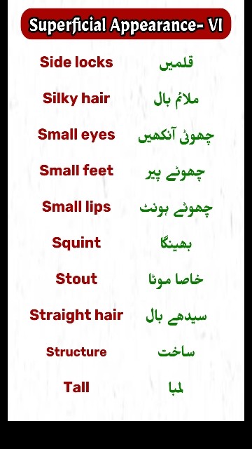 Daily Use English Vocabulary | Physical Appearance Vocabulary -6 ...