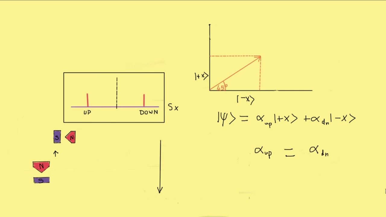 The Quantum State Vector Introduction - YouTube