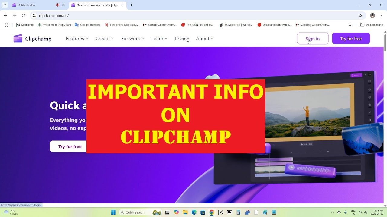 Important Info On Clipchamp - YouTube