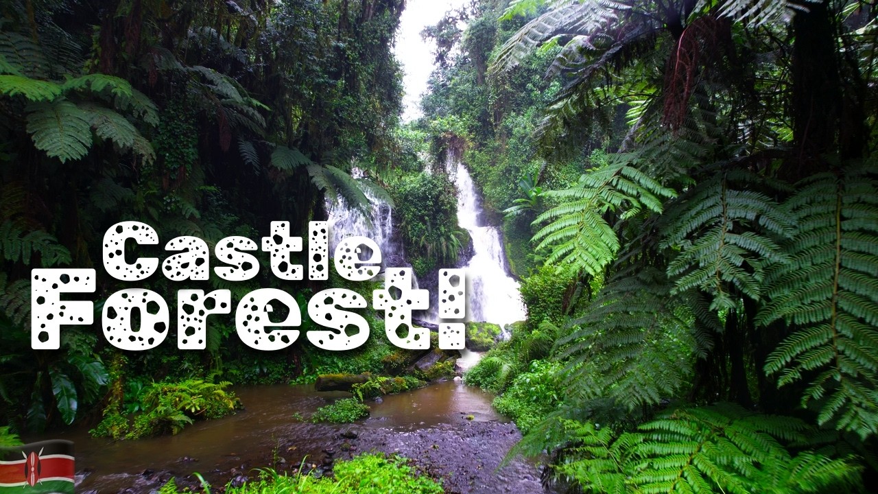 🇰🇪 Castle Forest!! Solo camping | roadtrip | adventure | views - YouTube