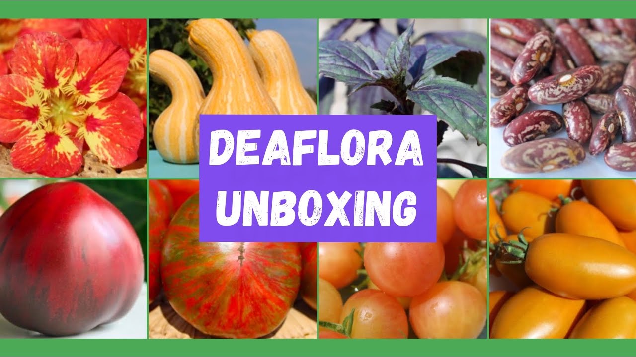 DEAFLORA unboxing/never ending varieties of everything imaginable - YouTube