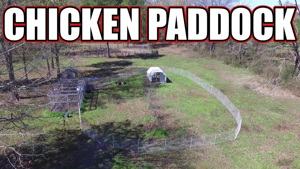 New paddock area for the chickens with premier 1 poultry netting - YouTube