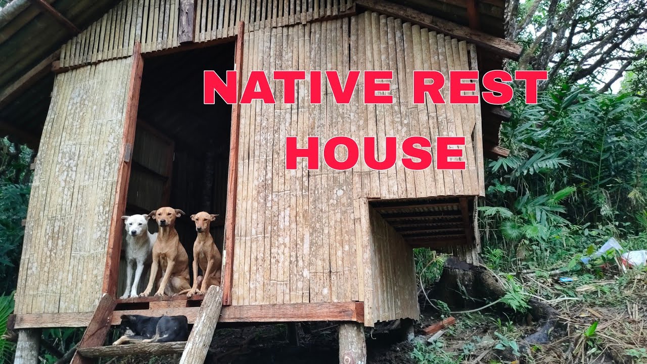 OUR NEWLY FINISHED NATIVE REST HOUSE AT THE FARM 🥰🥰 - YouTube