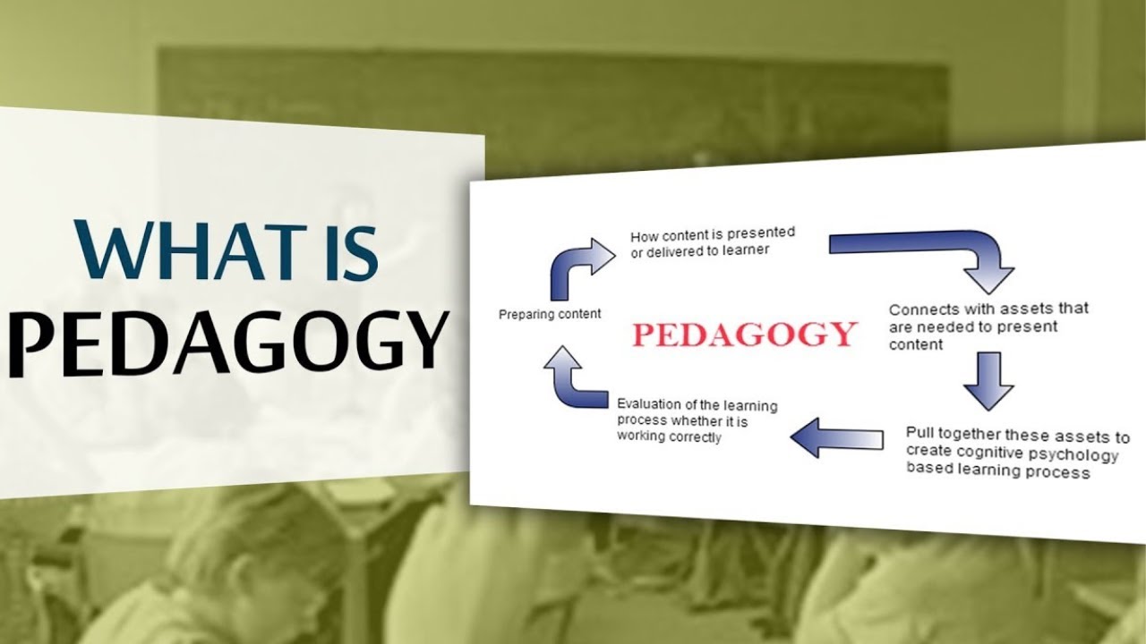 What is Pedagogy: Early Childhood Pedagogy Positioning and Empowerment ...
