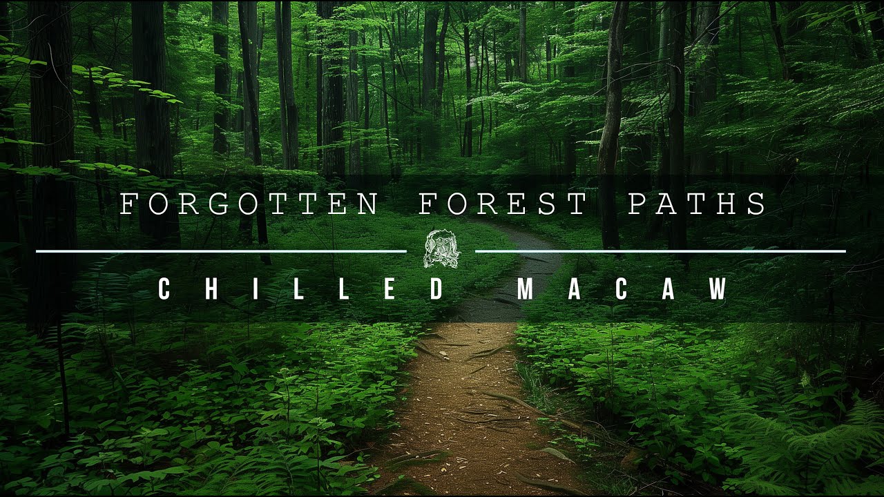 Forgotten Forest Paths - YouTube