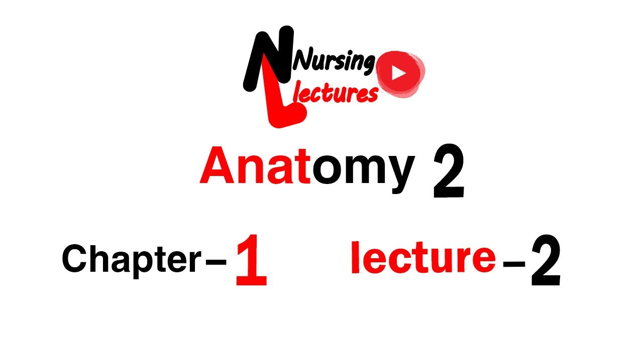 Anatomy 2 \ Chapter 1 part 2 - YouTube