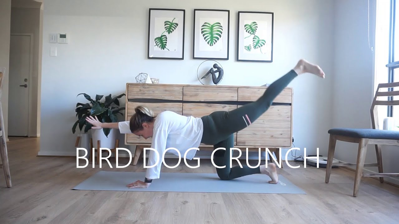 BIRD DOG CRUNCH - YouTube