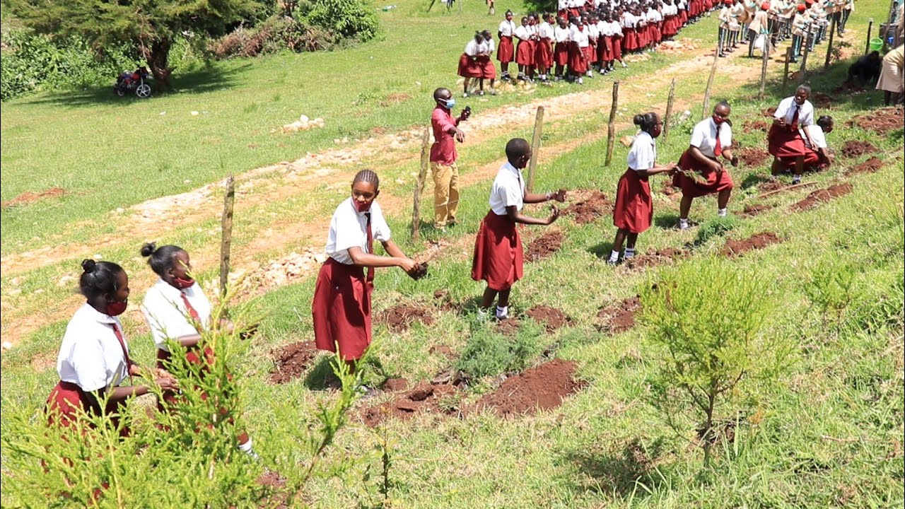 Tree Planting at Moi Kapsowar Girls high school grounds - YouTube
