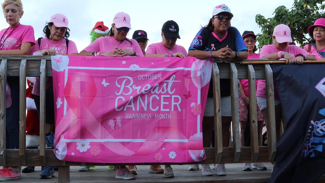 Volkys Girls, Caminata por la lucha contra el cáncer,Viajando con Mr ...