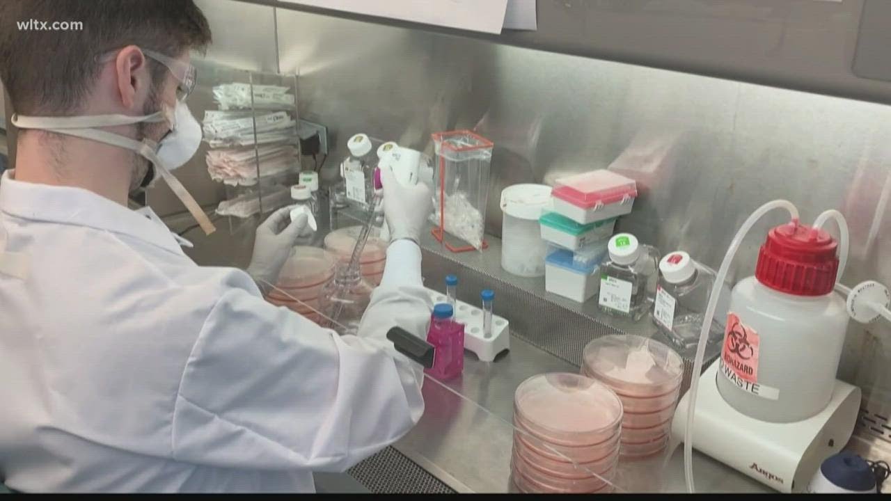 What is monoclonal antibody therapy and how does it work? - YouTube