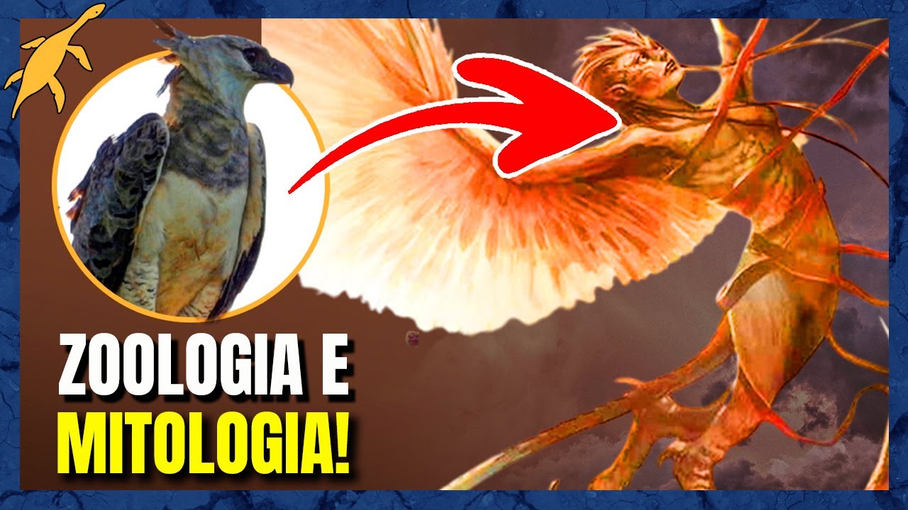Arte Da Mitologia Equidna Equidna (mitología) Wikipedia, La