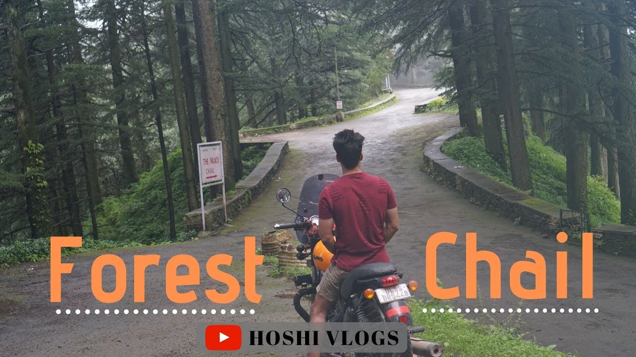 Chail Forest | Raining like HELL - YouTube