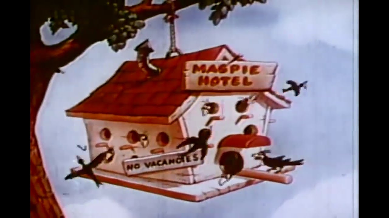 CARTOON THE TALKING MAGPIES Heckle and Jeckle - YouTube