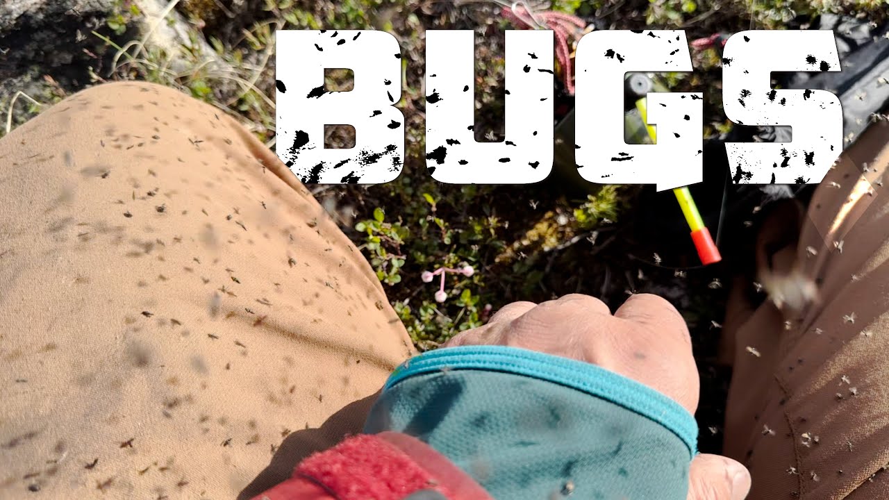 Thick Bugs on Edehon Lake, Nunavut Territory - Day 15 of a Solo Arctic ...