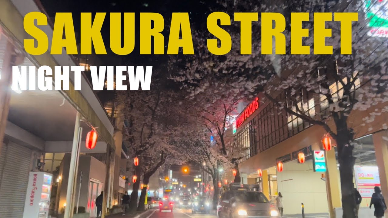 CHERRY BLOSSOM | SAKURA 桜, sakura) STREET AT NIGHT | SPRING IN JAPAN ...