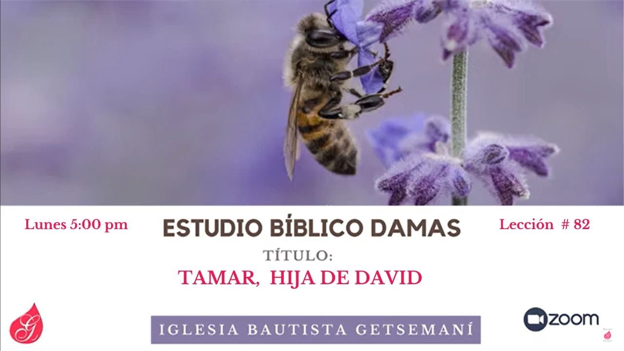 (82) Damas Getsemaní I Mujeres de La Biblia I LUNES I TAMAR HIJA DE ...