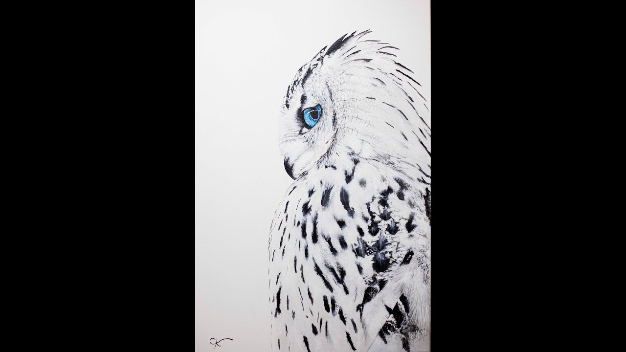 I Painted A White Owl!! White Owl Timelapse Painting By Chris Kempter ...