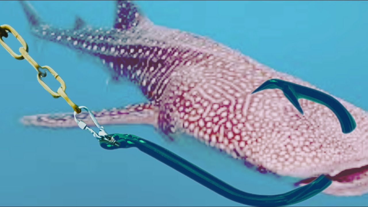 hook fishing video | Reel fishing |big fishing | Big Fish has been ...