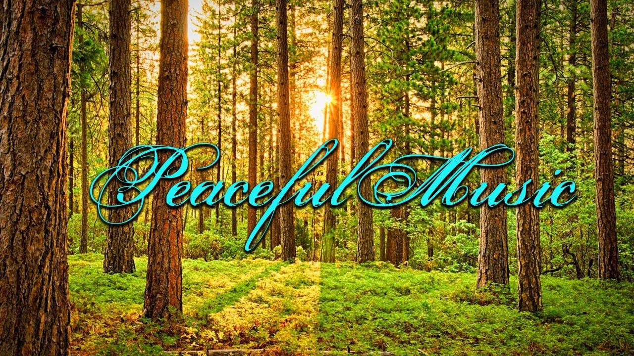 Most Beautiful Peaceful Music - Soft Relaxation Music For Meditation ...