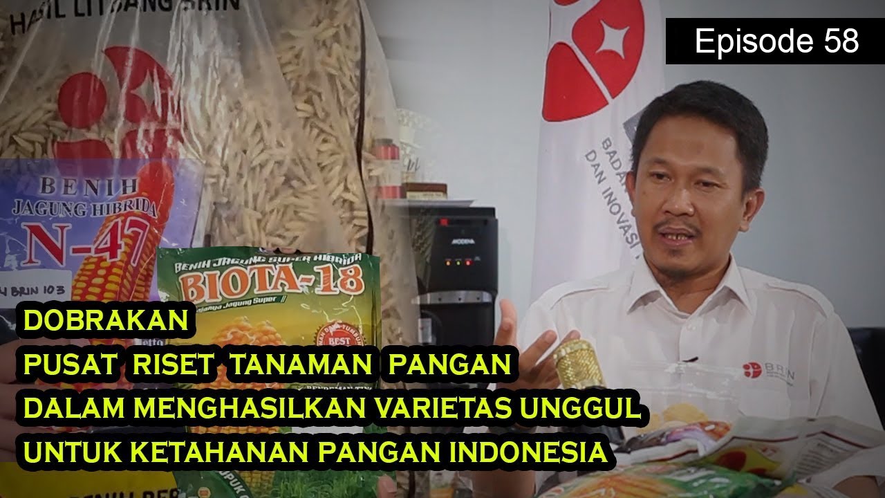 Ini dia varietas Unggulan Pusat Riset Tanaman Pangan, BRIN - YouTube