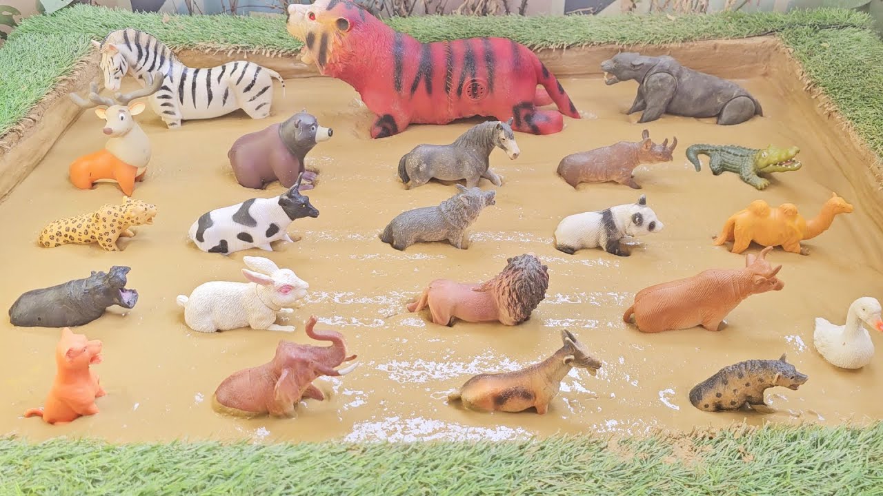 The Animal Kingdom Unleashed: Farm, Zoo, and Wild Creatures in Action ...