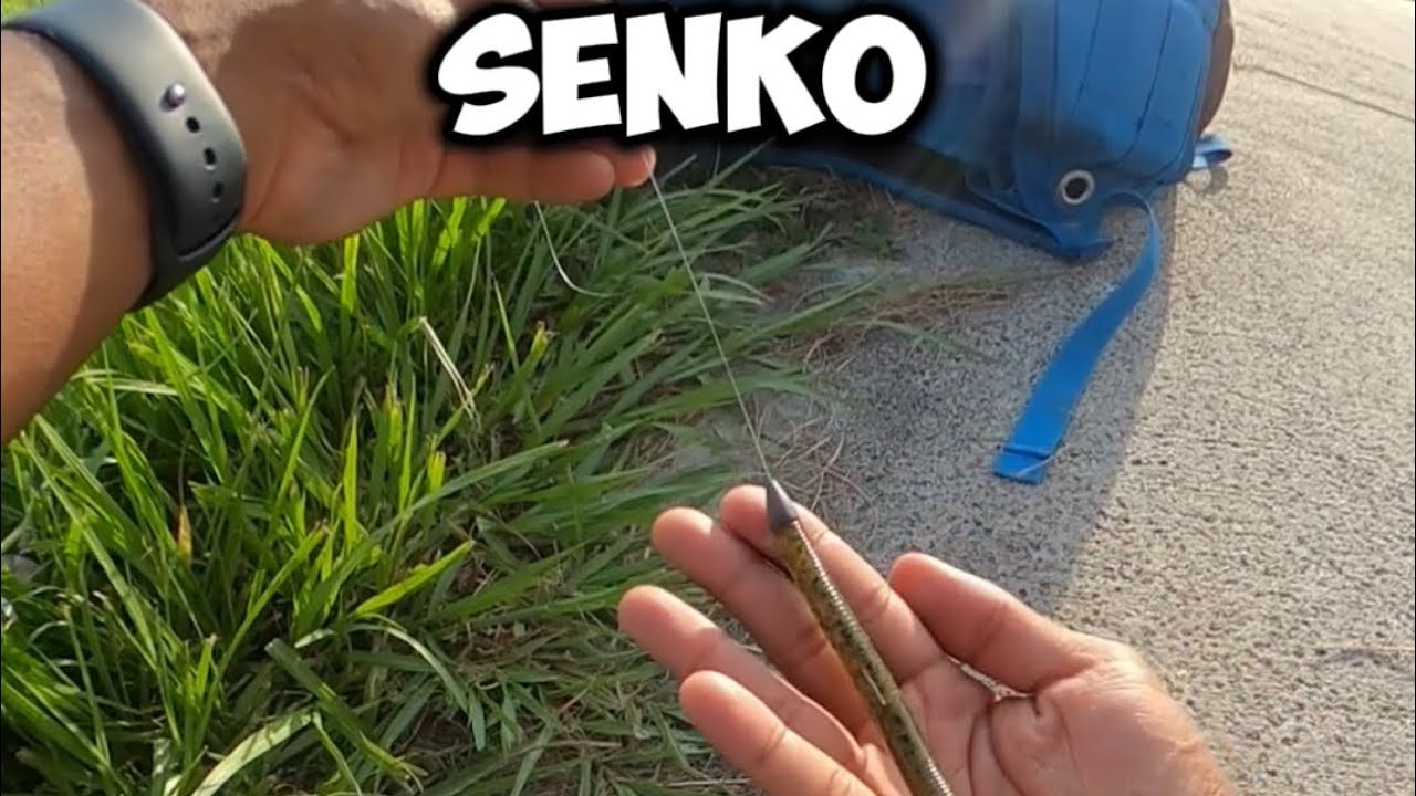 HOW TO USE A SENKO (2 QUICK AND EASY WAYS TO CATCH MORE FISH) - YouTube