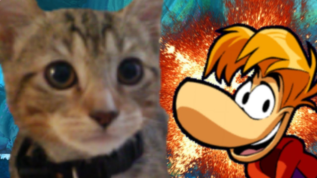 MY KITTEN PLAYS BRAWLHALLA! - YouTube