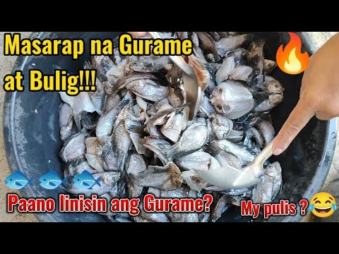 Paano linisin ang Gurame isda? Ang dame natin naiuwi! Bulig, Gurame ...
